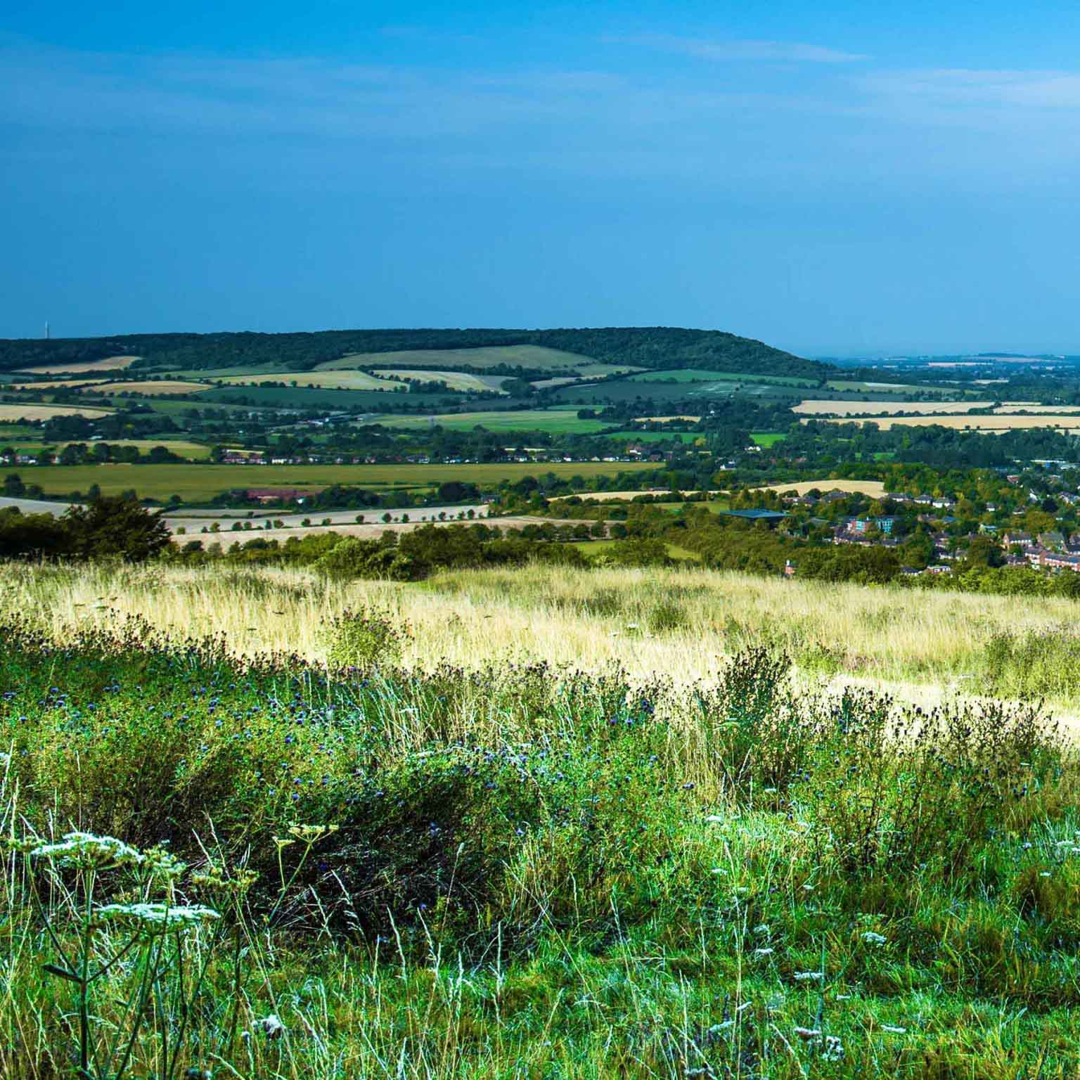 The Chiltern Way Basic Guide - Chiltern Society